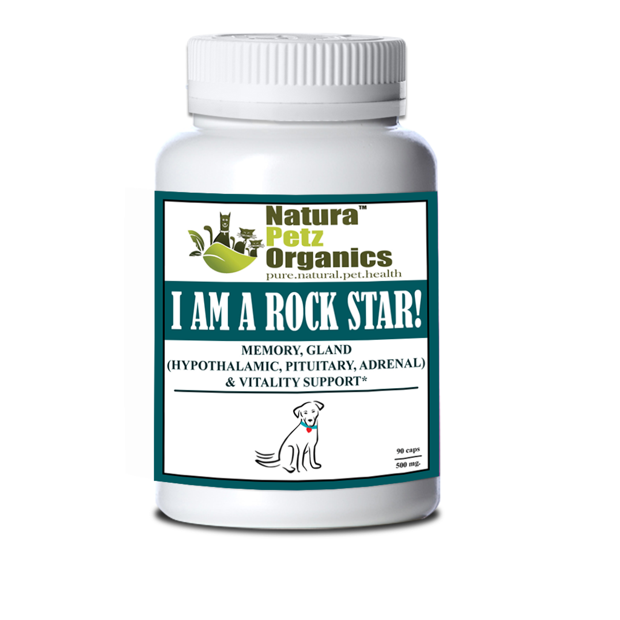 I Am A Rock Star - Memory, Gland (Hypothalamic, Pituitary And Adrenal ...